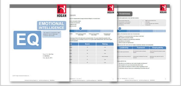 Strength Deployment Inventory | SDI Training Course | MTD